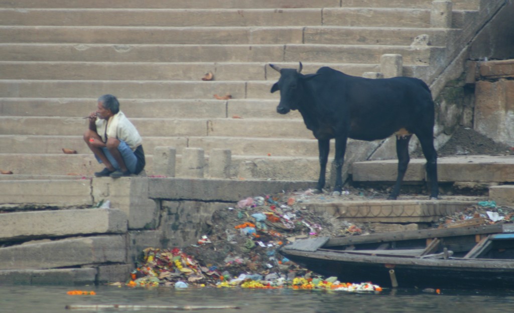 Indien, der Schmutz und seine Faszination
